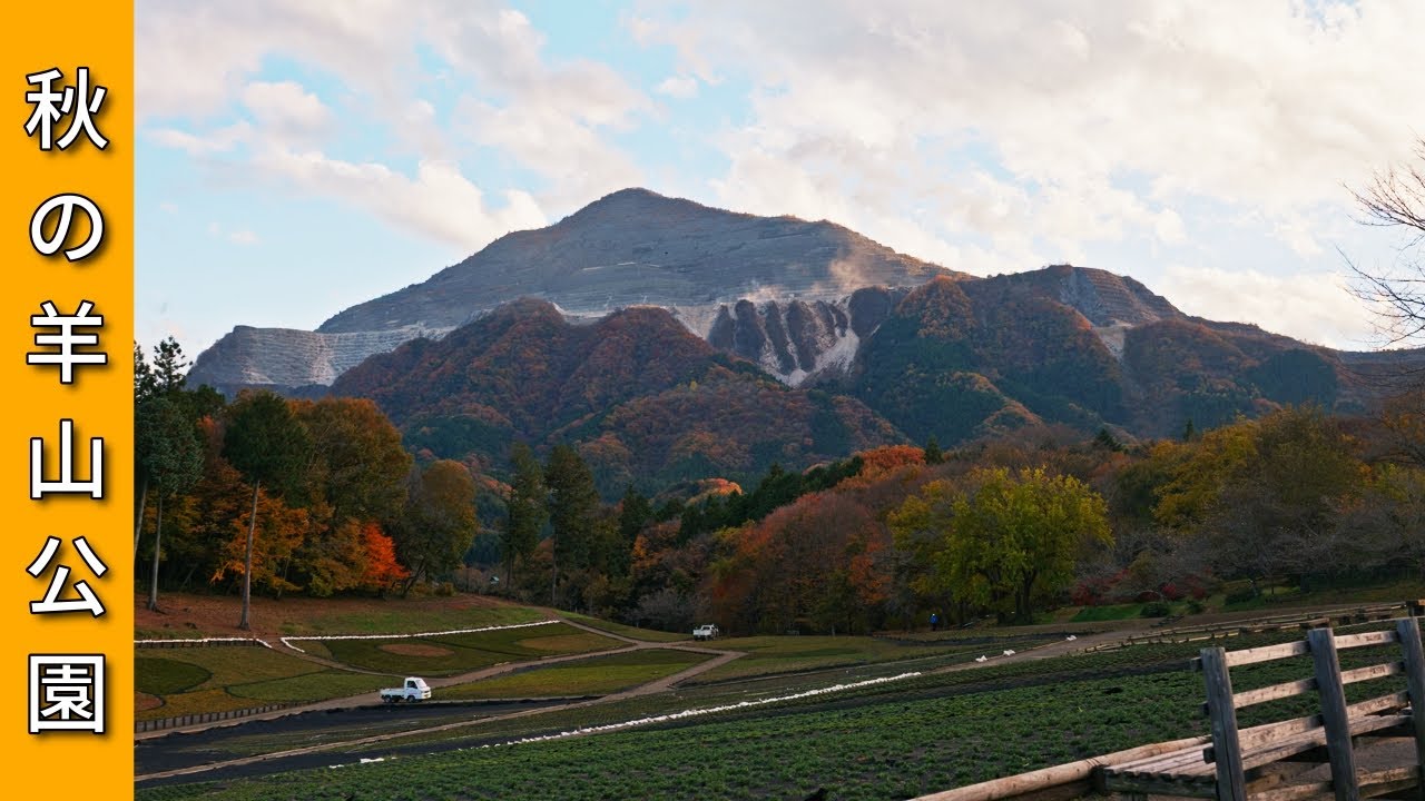 Autumn in Chichibu｜A Cinematic Quiet Moment - YouTube
