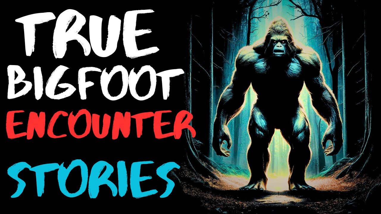 We Found Bigfoot in the Woods... Here's What Happened! | True Bigfoot ...