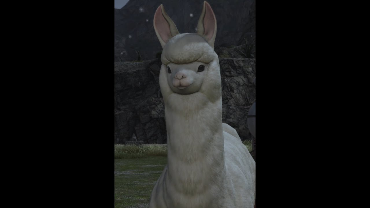 Final Fantasy XIV Dawntrail 4k walkthrough part 2 Attack of the Killer ...