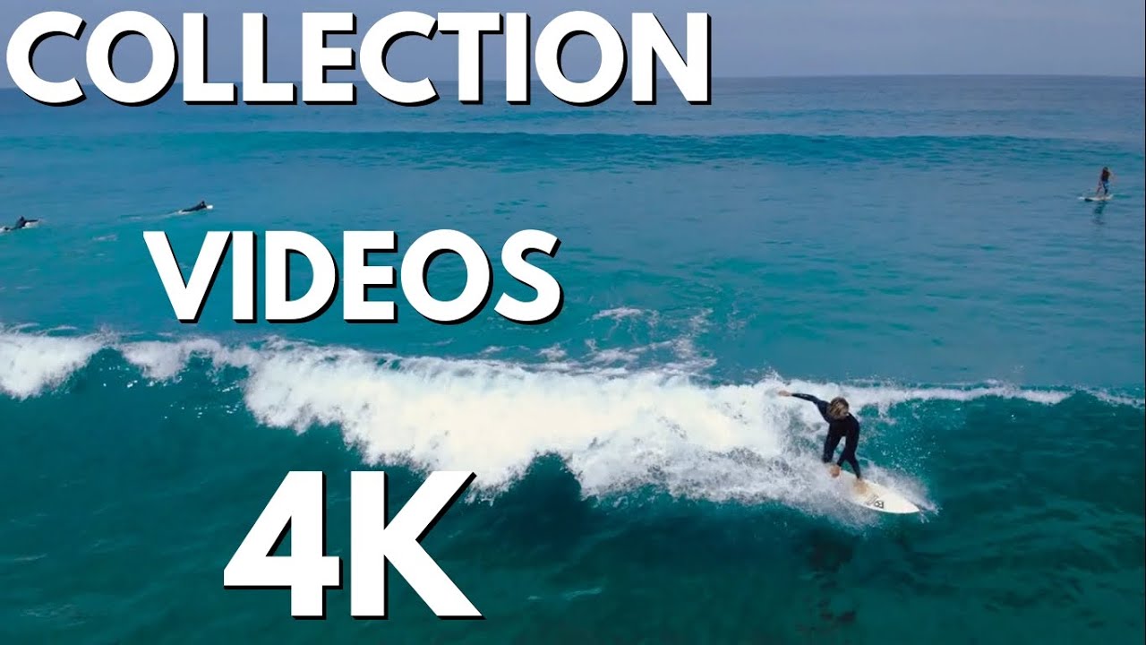 Largest & 4K Videos Collection .Stock video 4K for creative projects ...
