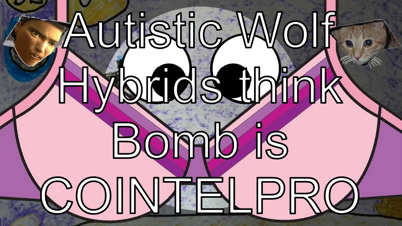 Autistic Wolf Hybrids think Bomb is COINTELPRO - YouTube