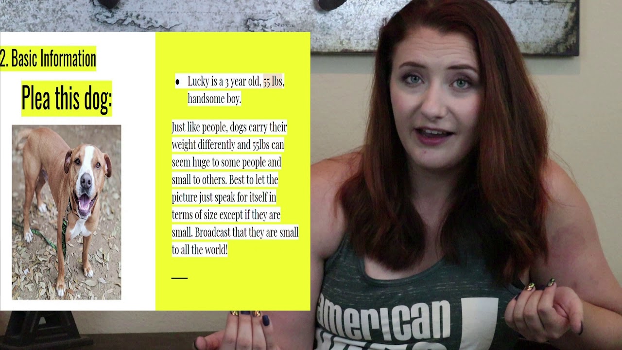 How to Write Foster Pleas that get Results - American Pets Alive! ft ...