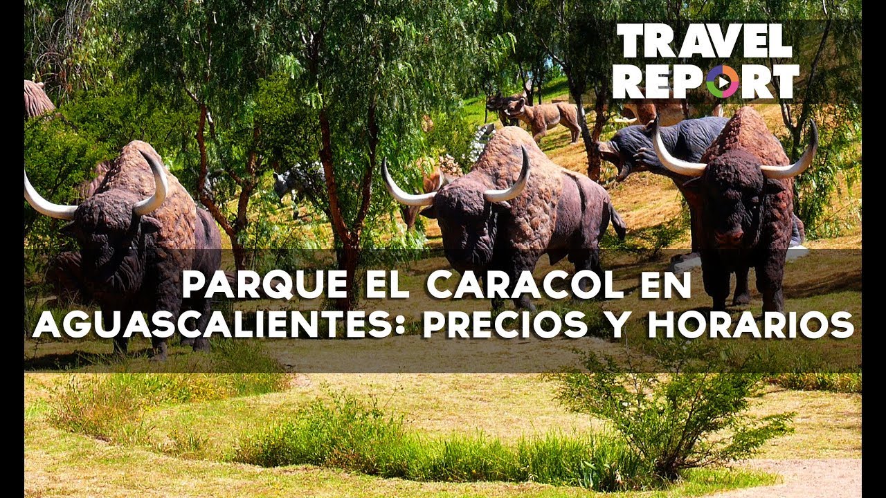 Parque El Caracol en Aguascalientes: precios y horarios - YouTube