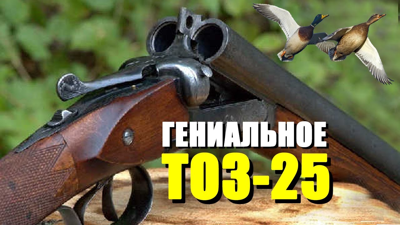 ТОЗ 25 это ружье ищут ВСЕ! - YouTube
