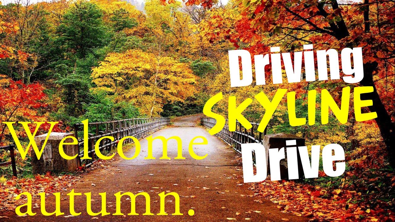 Skyline drive Virginia, blue ridge fall colors - YouTube