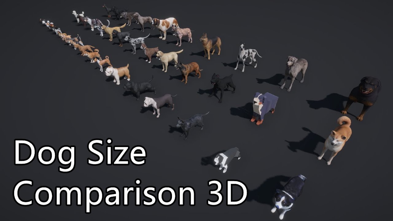 Dog Breeds Size Comparison 3D - YouTube