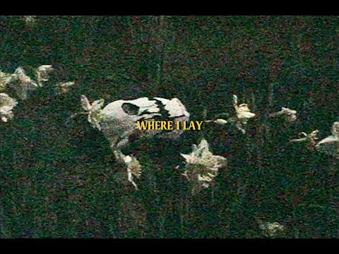 Movements - \