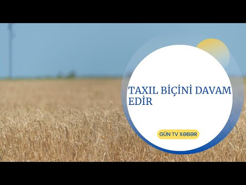 TAXIL BİÇİNİ DAVAM EDİR