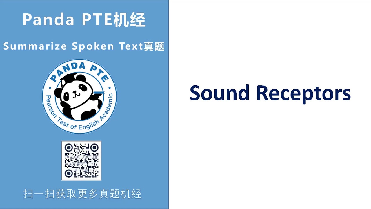 Panda PTE SST- Sound Receptors真題機經(2019) - YouTube