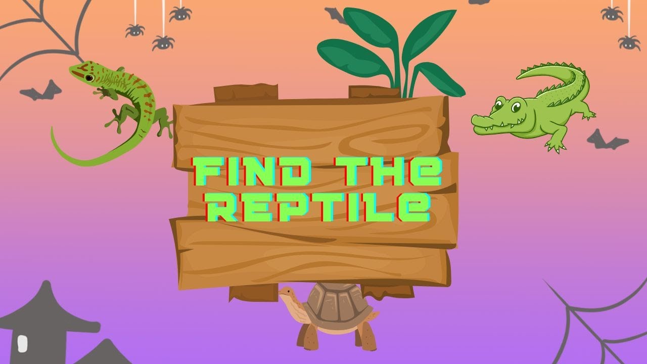 Quiz on Reptiles| Guess the reptile from picture #funquiz #reptilefacts ...