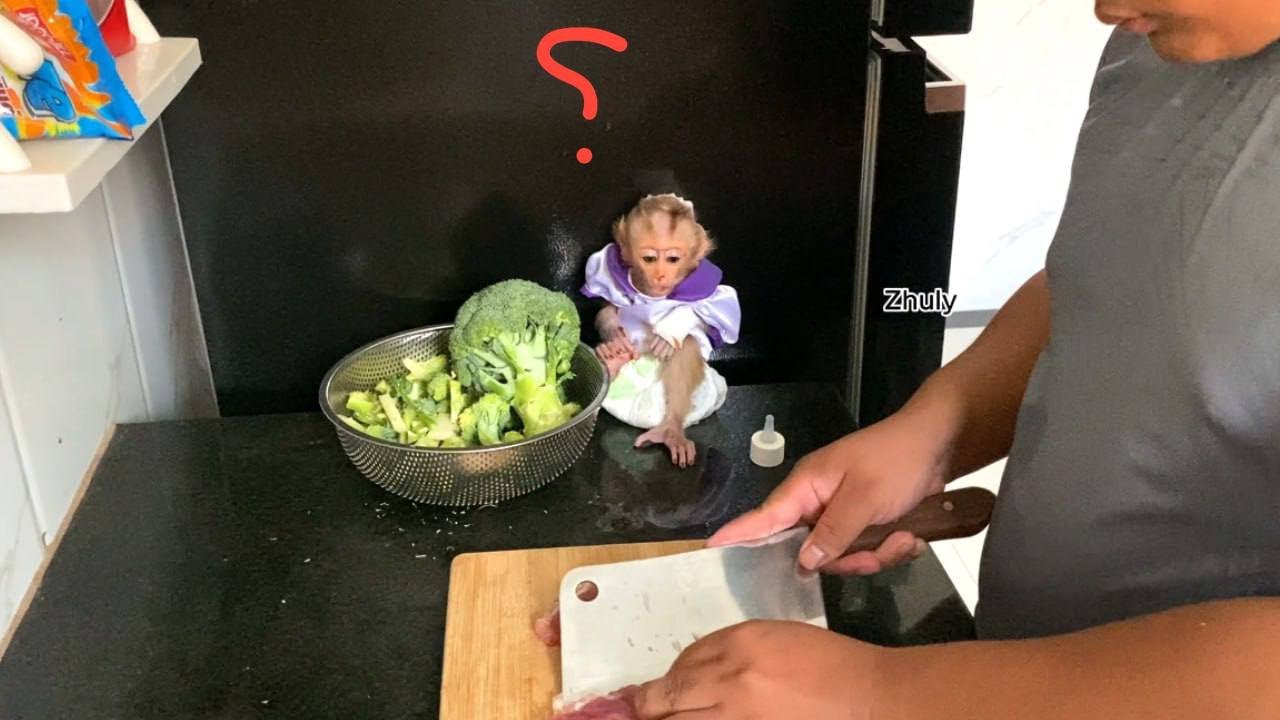 B0rinq Zhuly Shoutinq Voice Ask Dad For Hurry Lunch - YouTube