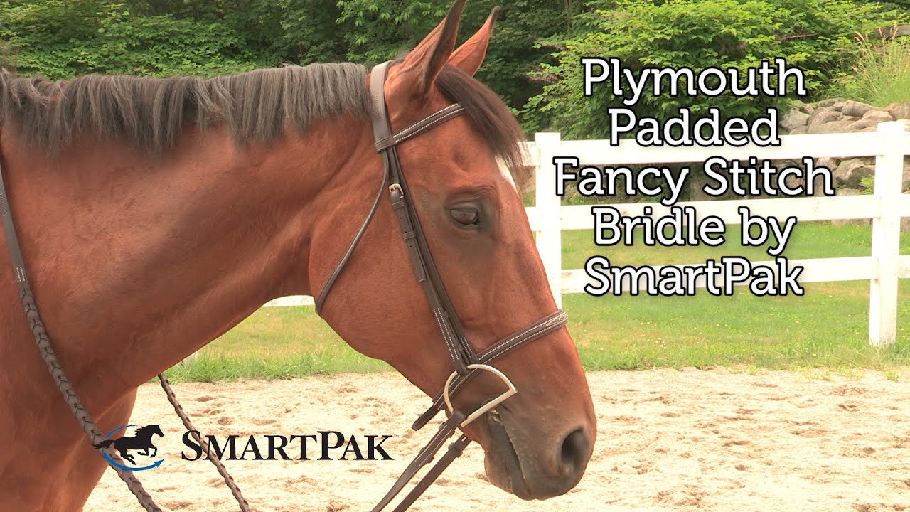 Plymouth Padded Fancy Stitch Bridle by SmartPak Review - YouTube