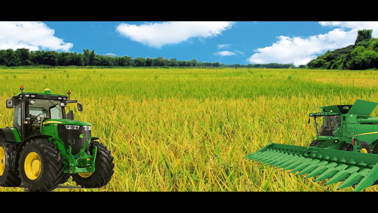 Tractor for kids | Farm trucks for children - YouTube