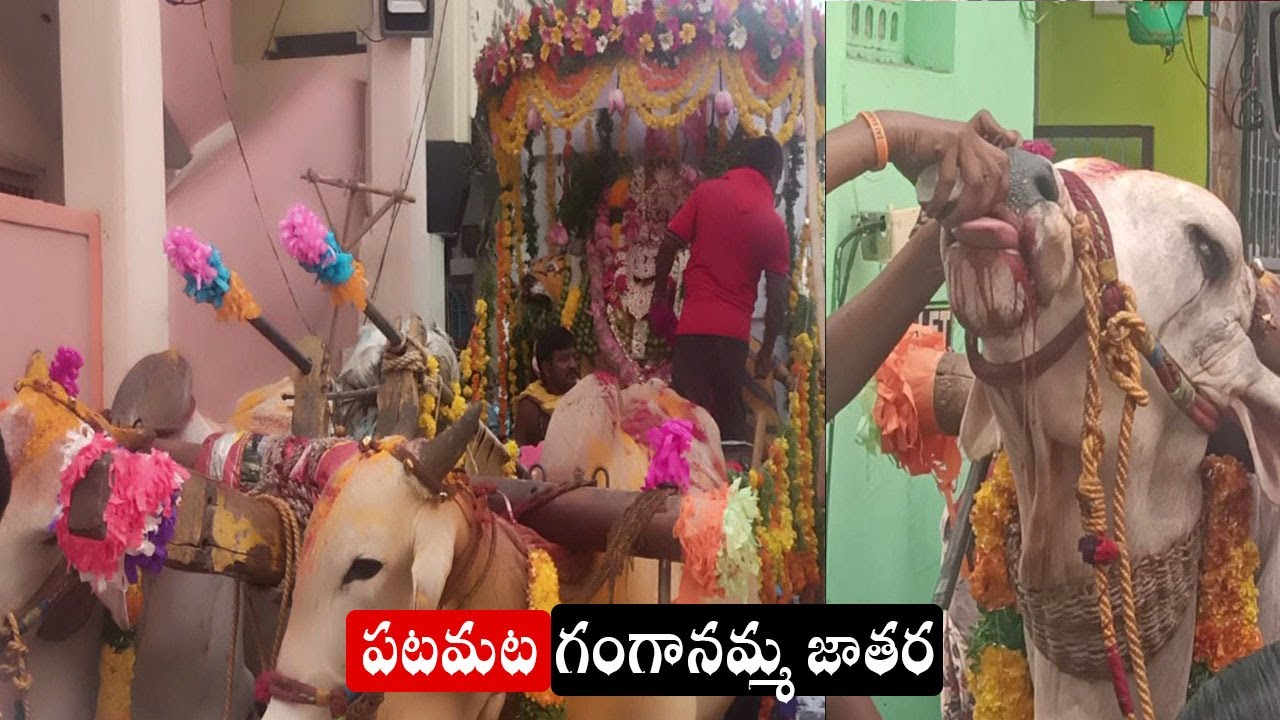 గంగానమ్మ జాతర // vijayawada patamata lo ganganamma jathara - YouTube