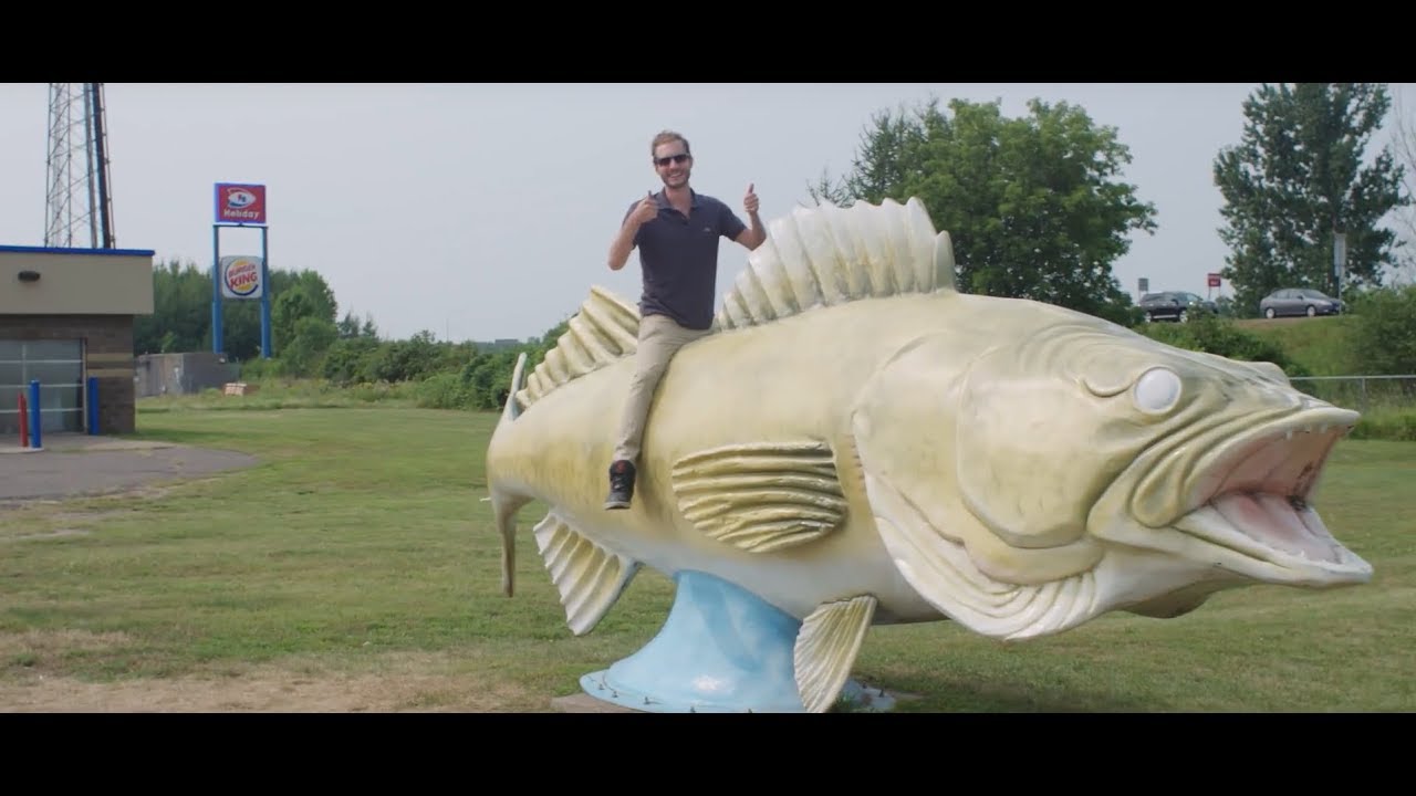 Alex Frecon - I'm From Minnesota (The Minnesota Anthem) - YouTube