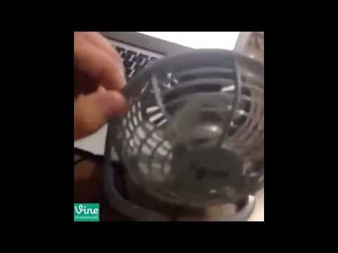 Halil Söyletmez Bütün Vineları 313 Vine