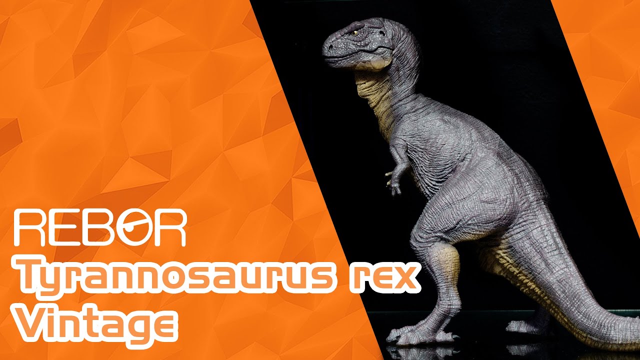 Rebor Tyrannosaurus rex Vintage - Mesozoic Rhapsody Valley - Jurassic ...