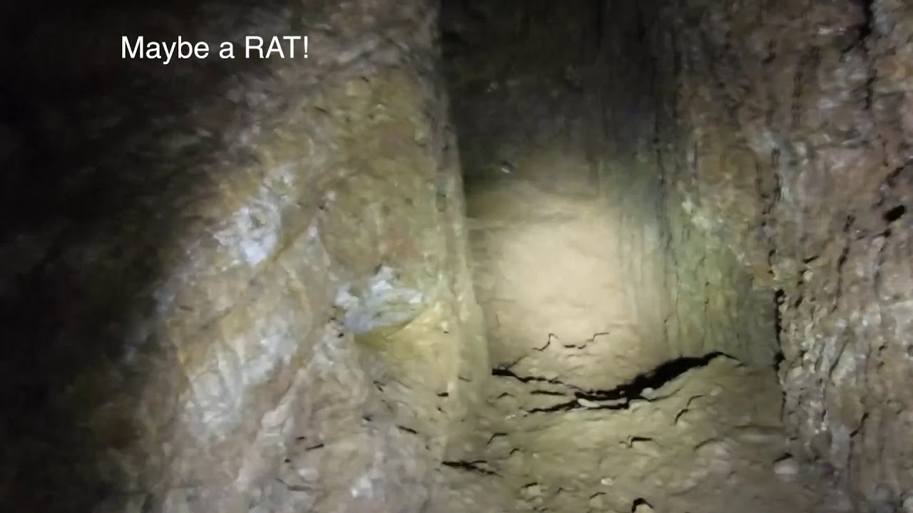 Virginia Gold Mine! - YouTube