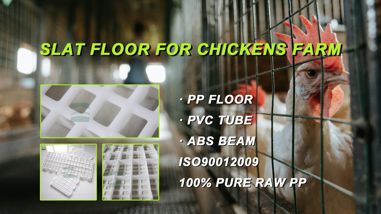 Chicken Flooring | Chicken farm plastic slat floor - YouTube
