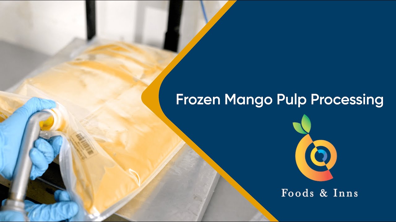 Frozen Mango Pulp Processing - YouTube