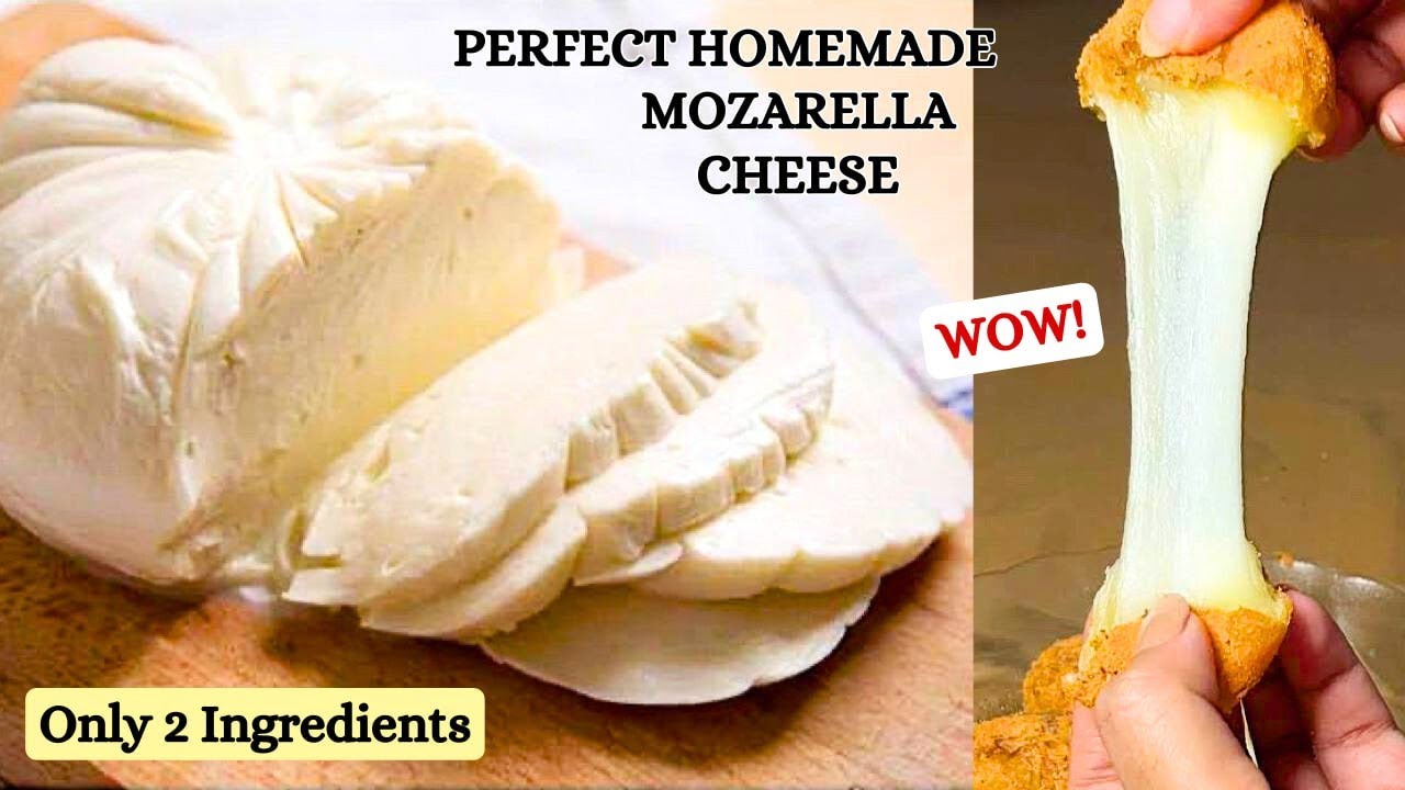 Mozarella Cheese Recipe | How to make Mozarella Cheese at home ...
