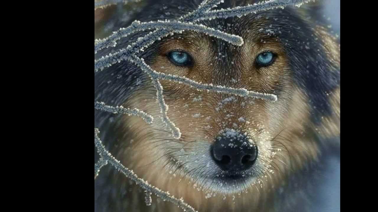 The Call ~ Inspirational Poem by Oriah Mountain Dreamer - YouTube