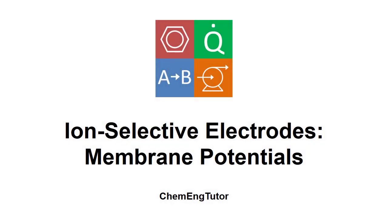 Ion-Selective Electrodes – Part 5: Membrane Potentials - YouTube