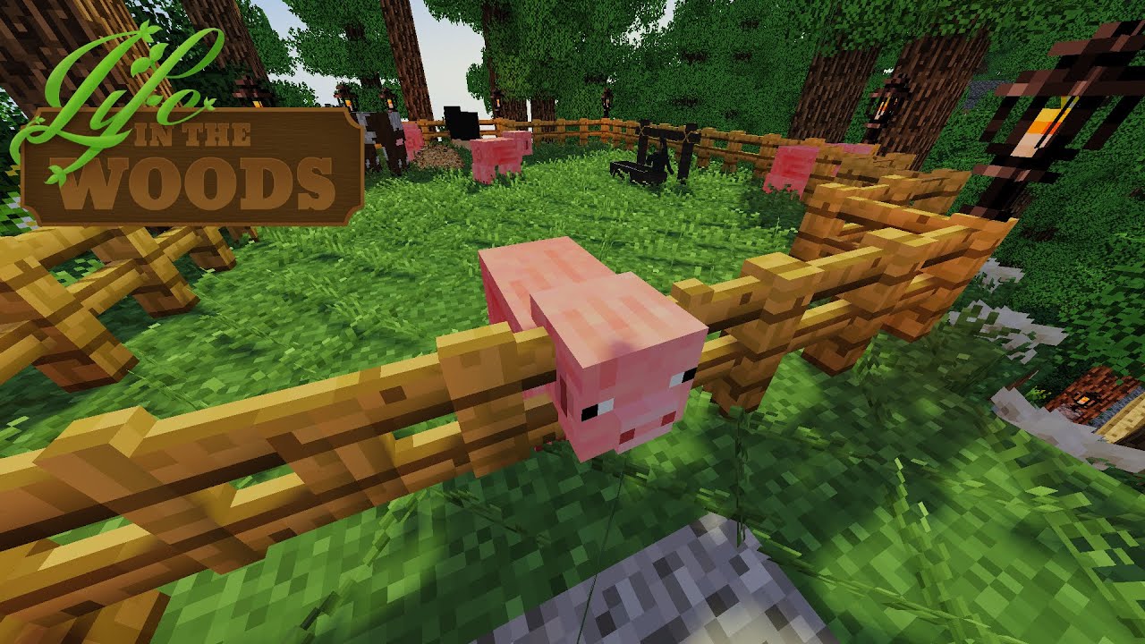 Life In The Woods #470 - Saving Animals - Minecraft Let's Play - YouTube