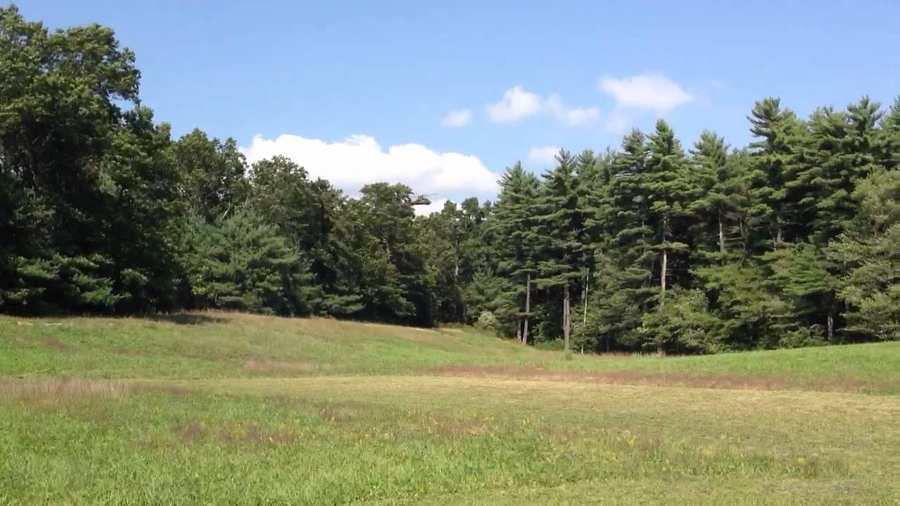 Custom made Comanche RC Heli by Butch! - YouTube