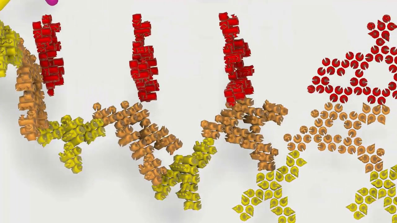 Quantum scale CAD animation - YouTube