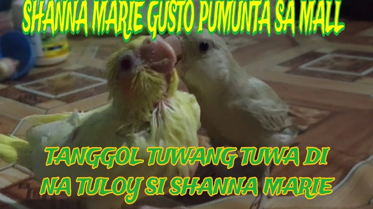 SHANNA MARIE GUSTO PUMUNTA SA MALL,PROBLIMA ULAN,TANGGOL NAKULITAN ...