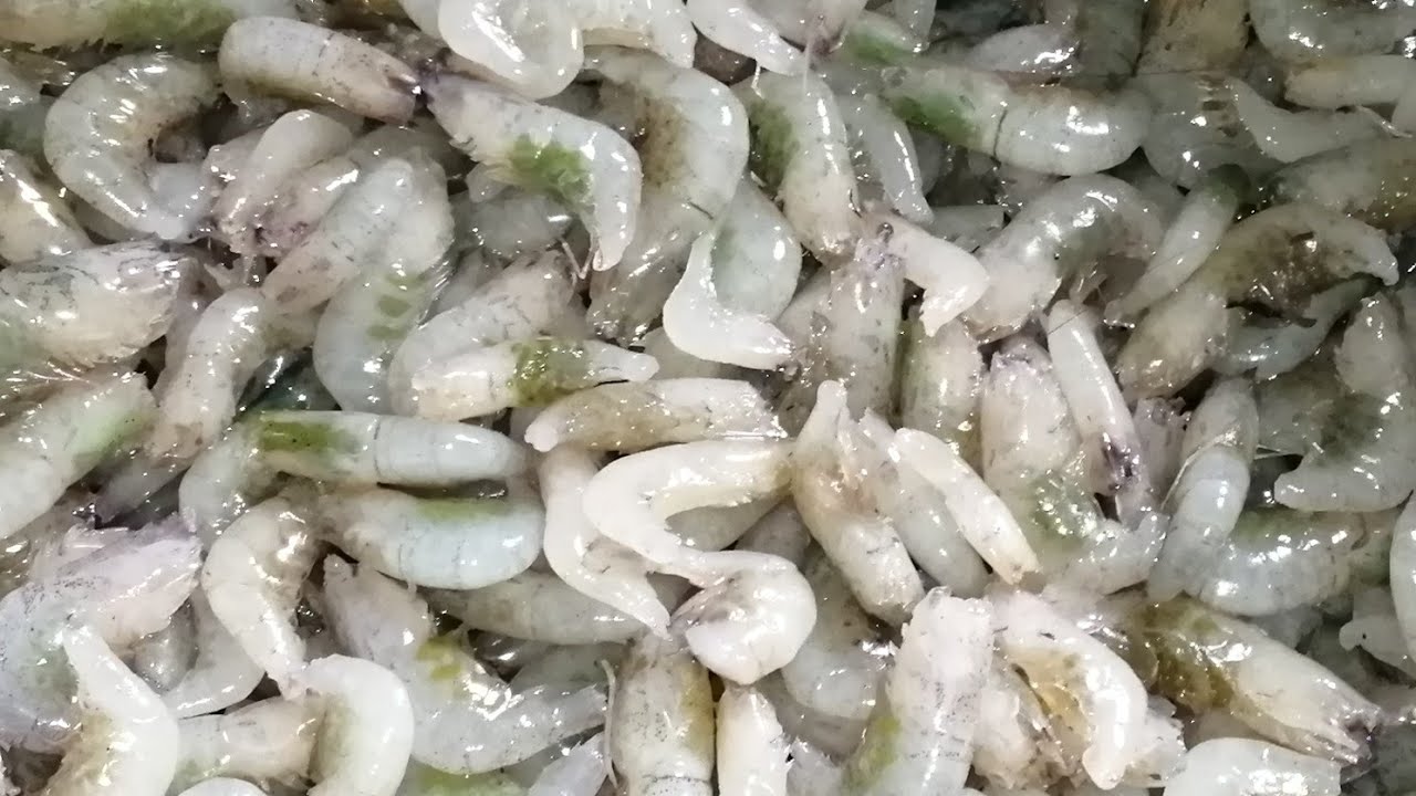 jhinga machli recipe - YouTube