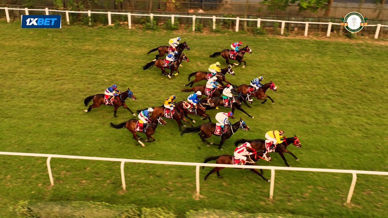 Royal Calcutta Turf Club Live Horse Racing | PROMO - YouTube