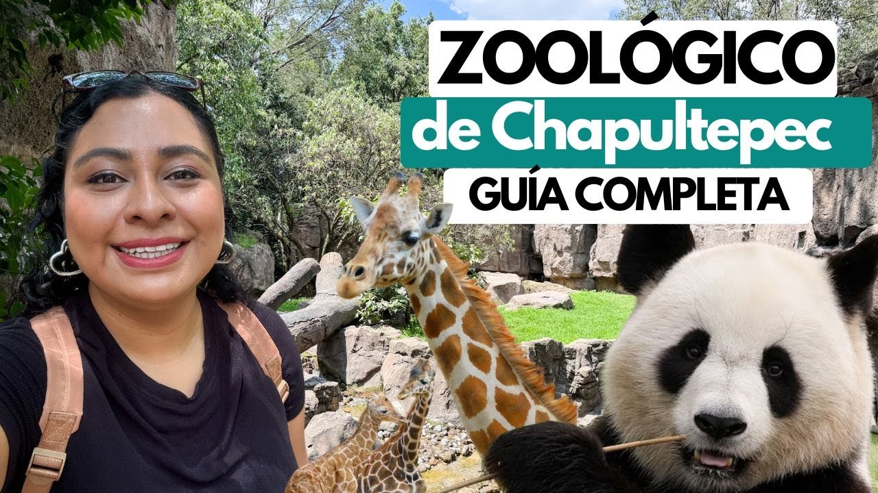ZOOLÓGICO DE CHAPULTEPEC CDMX 2026: Costo, animales y recorrido ...