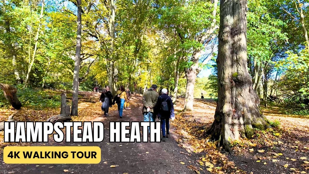 Walking Through Hampstead Heath London in 4K | Autumn Walk & City Views ...