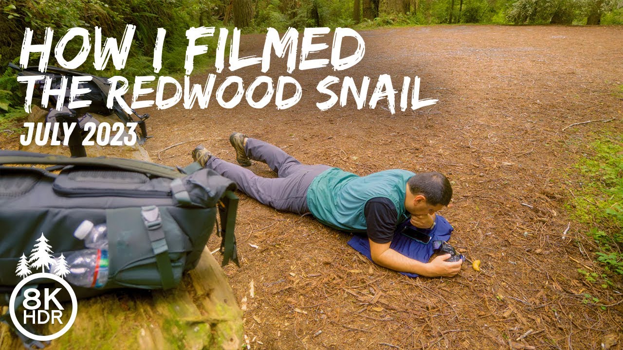 How I Filmed the Redwood Snail, California - 8K HDR Behind-the-Scenes ...