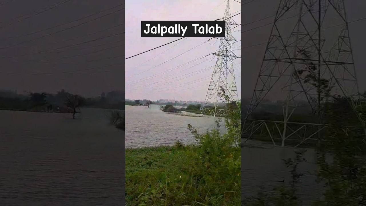 Jalpally Talab #hyderabad #shortvideo #subscribe - YouTube