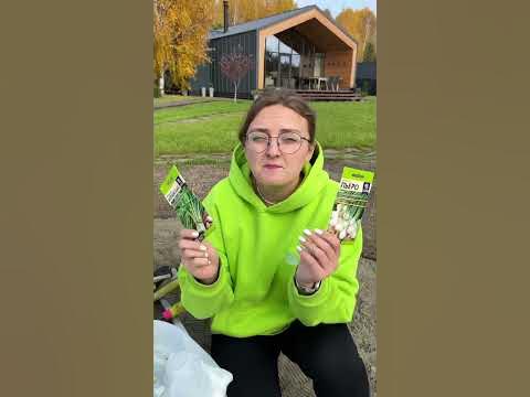 Успей посеять эти луки! - YouTube