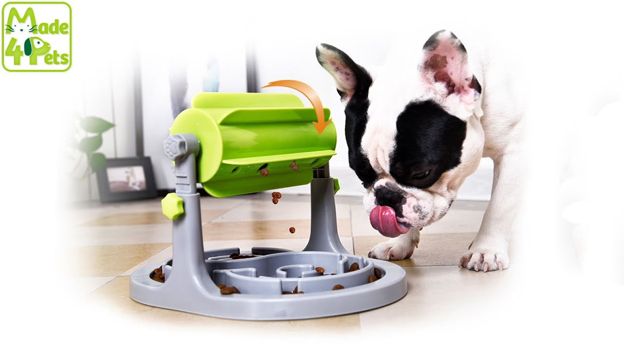 Top 5 Inventions 2020 For Cats And Dogs! Dog Slow Feeder, Pet Grooming ...
