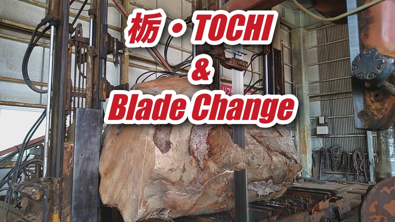 栃・TOCHI Japan Horse Chest nut Sawing&Blade Change - YouTube