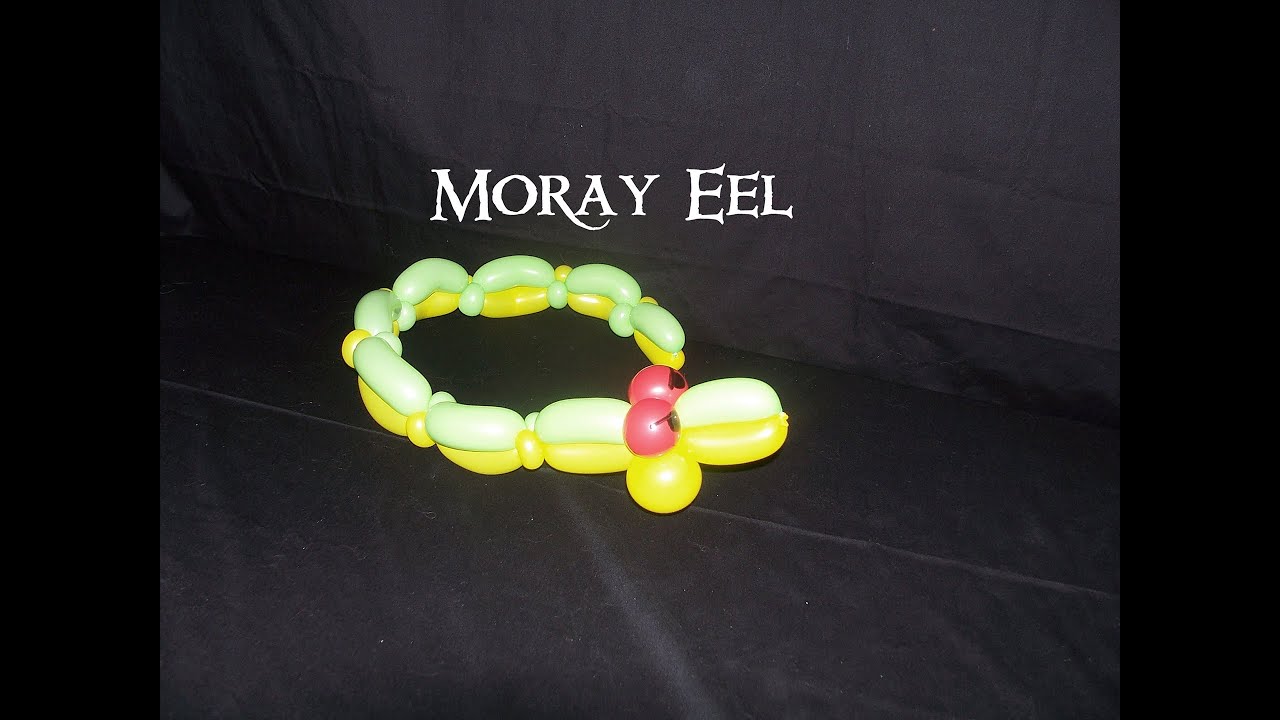 Learn how to make a balloon animal Moray Eel (or snake) using balloon ...
