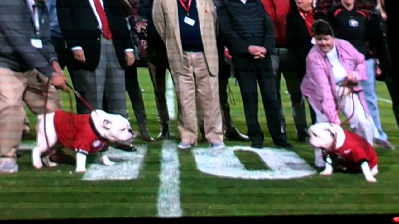 UGA X Collaring Ceremony 2015 - YouTube