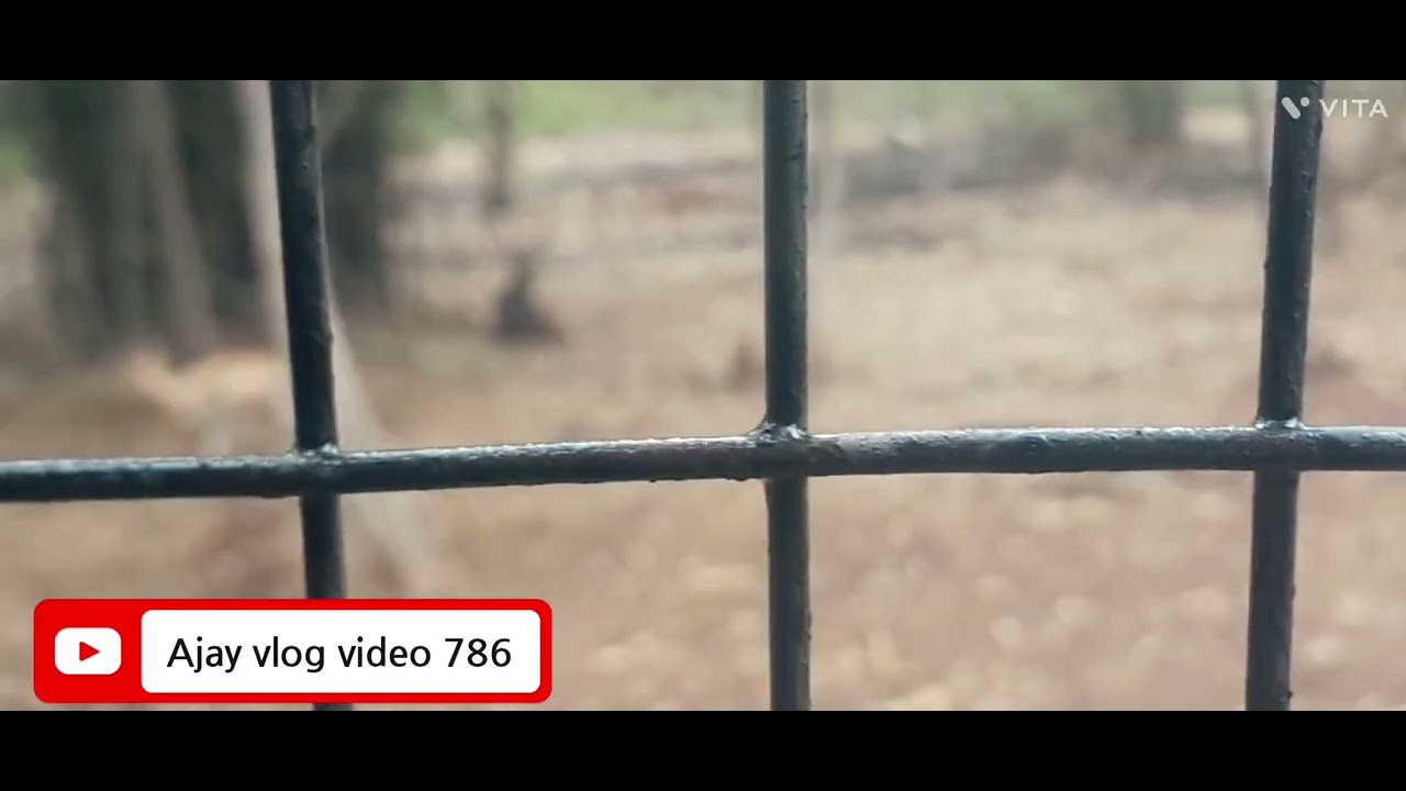 Ajay vlog video]Bangalore shimoga National park.please like and subscribe my channel - YouTube