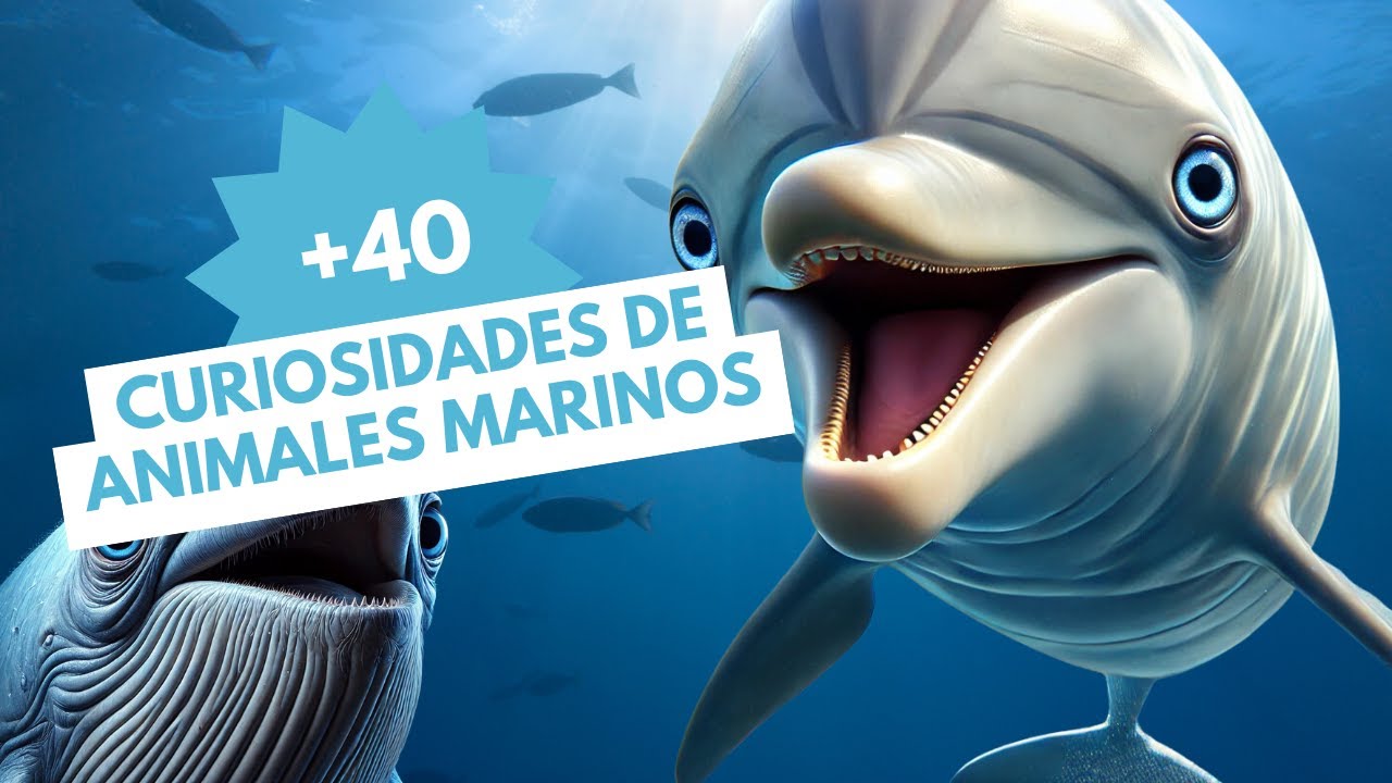 40 CURIOSIDADES de ANIMALES MARINOS que NO SABÍAS! 🌊🐳 - YouTube