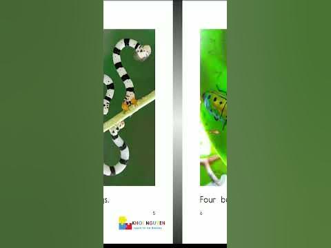 Reading AZ level AA.- 12 COUNT BUGS GOC - YouTube