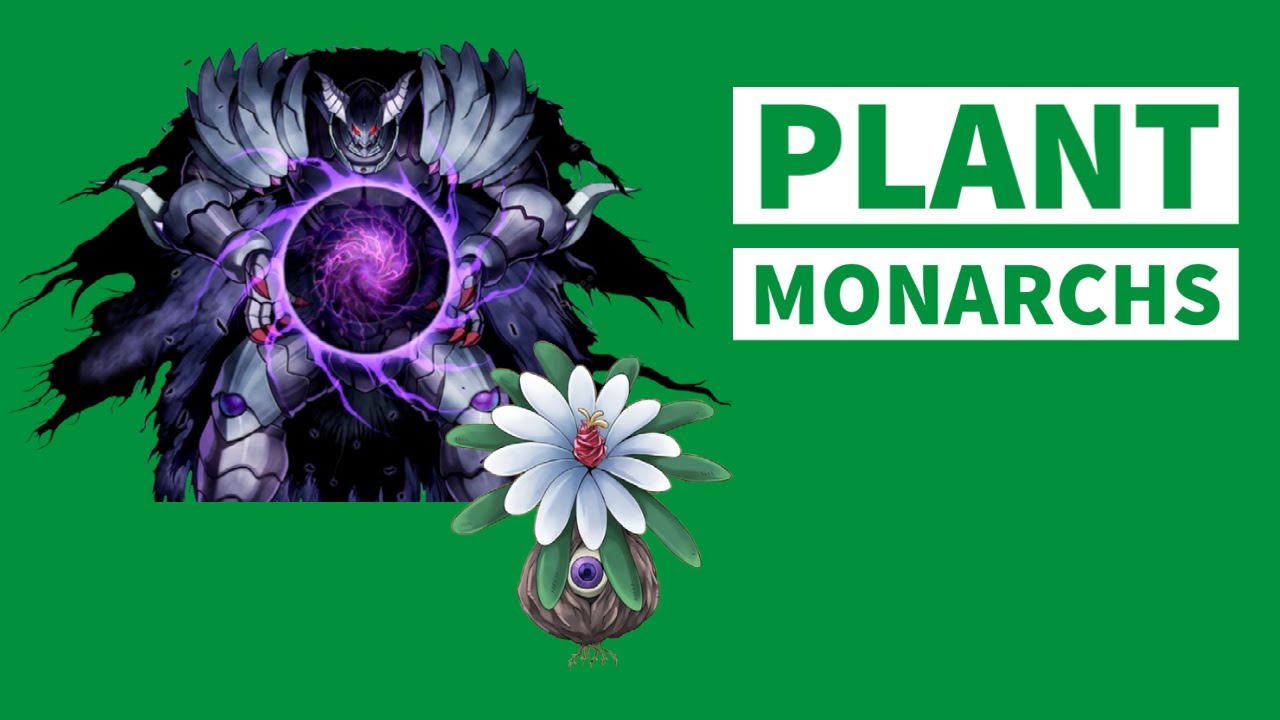 Plant Monarchs! Caius the Shadow Monarch! | Yu-Gi-Oh! Duel Links - YouTube