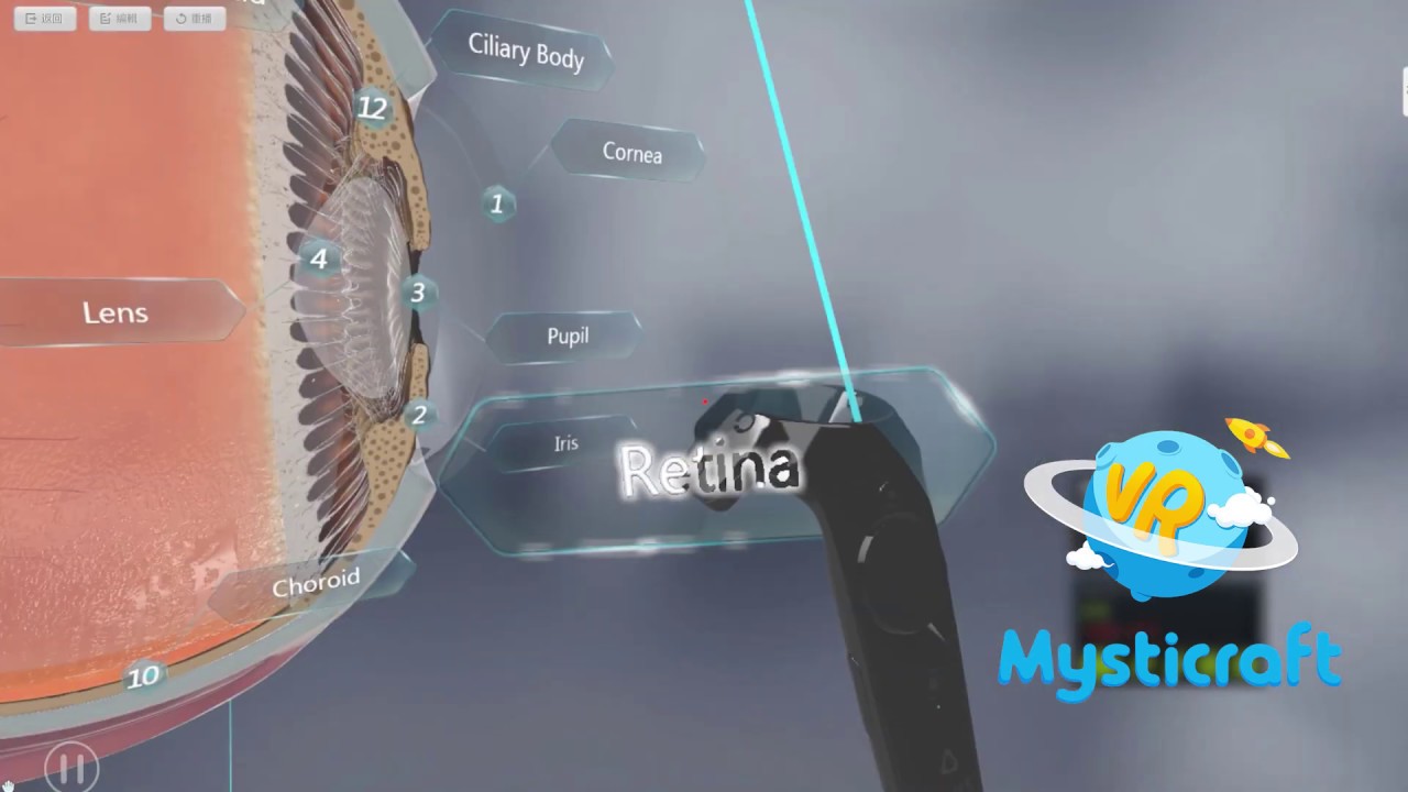Anatomy and Structure of the Eye - Interactive Quiz VR Game | Biology ...