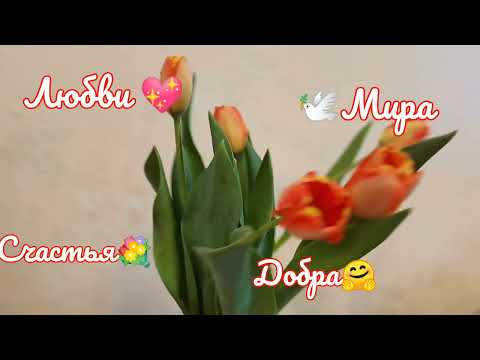 💐Милые мои девочки, девушки и девушки постарше, с 8 марта 💐🤗