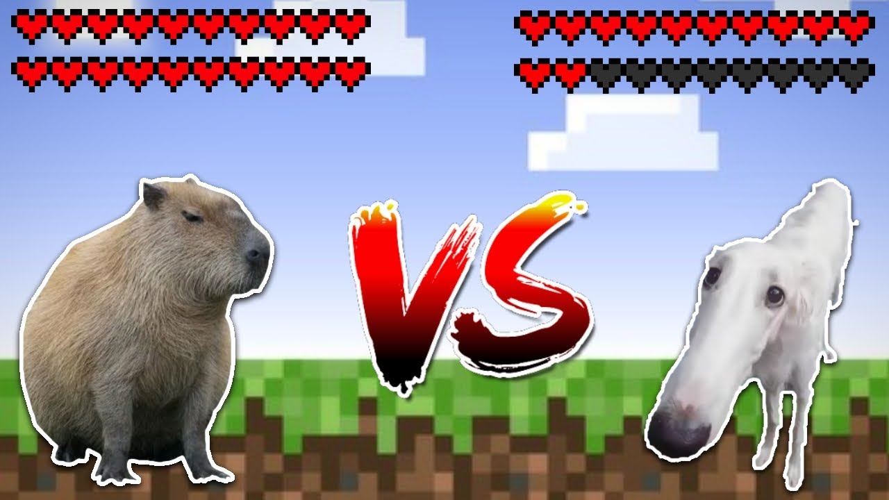 Capybara vs Borzoi dog(let me do it for you)! Meme battle - YouTube