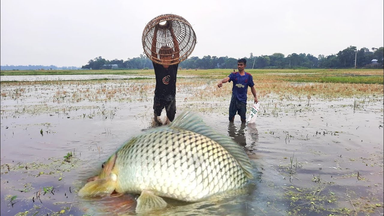 Amazing jumping fishing😍Traditional boy catching big carpfish by polo ...